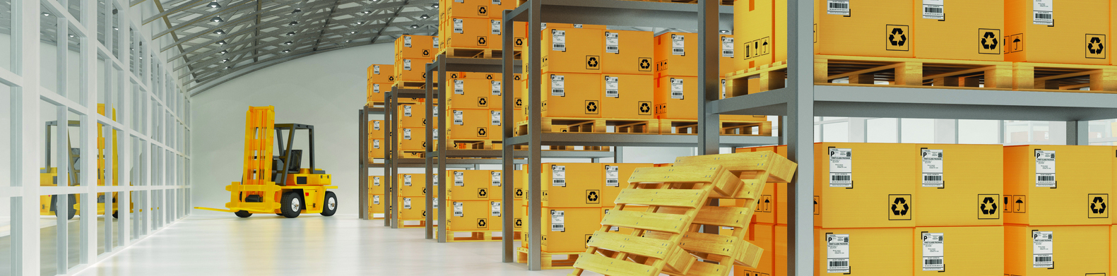 ERP Software for Warehouses and Container Freight Stations: Scanning ...